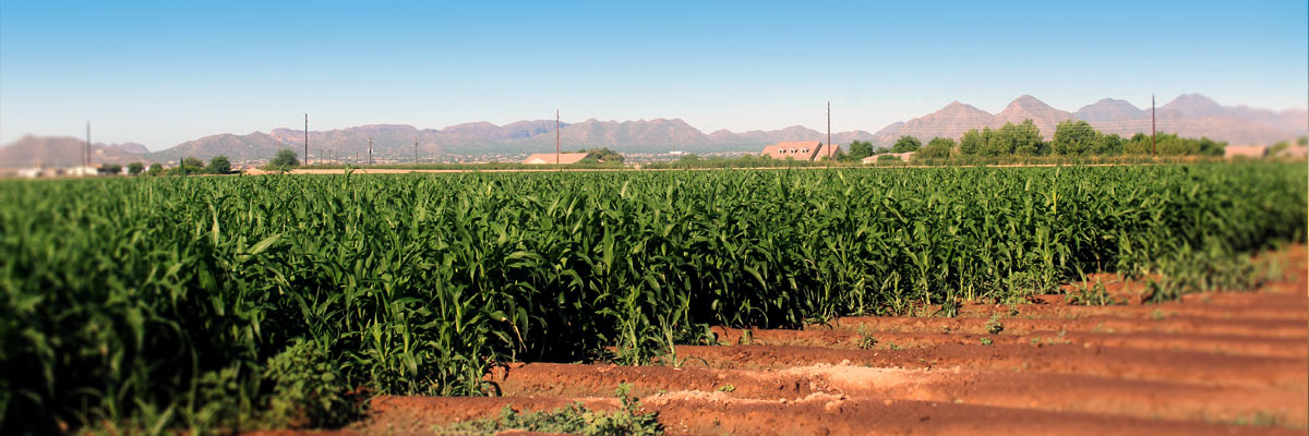 crops - CTS Greenwaste Recycling